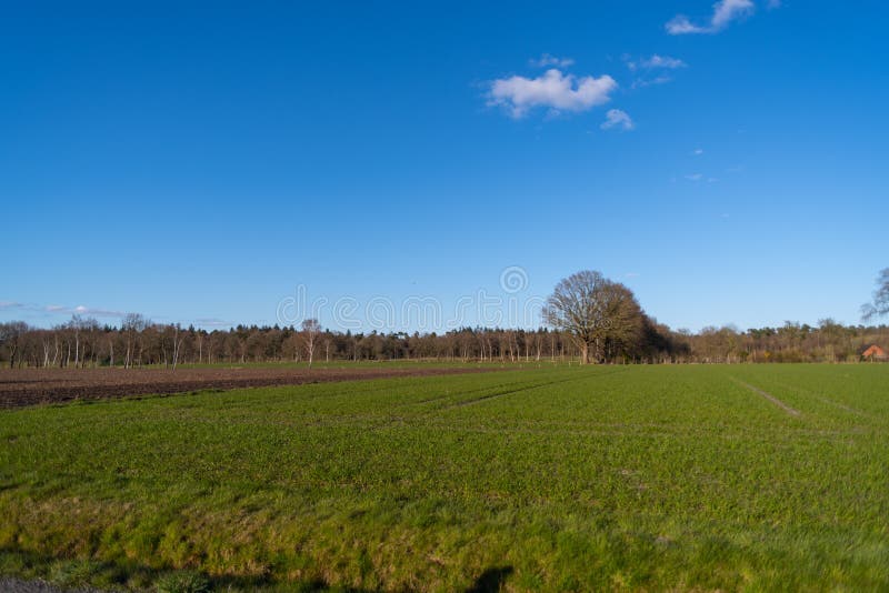 A Panoramic Shot of the Northern German Countryside on a Bright Sunny ...