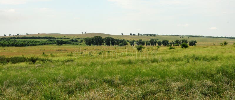 Panoramic Shot of a Wide Valley with Sparse Trees on the Hillside Stock ...