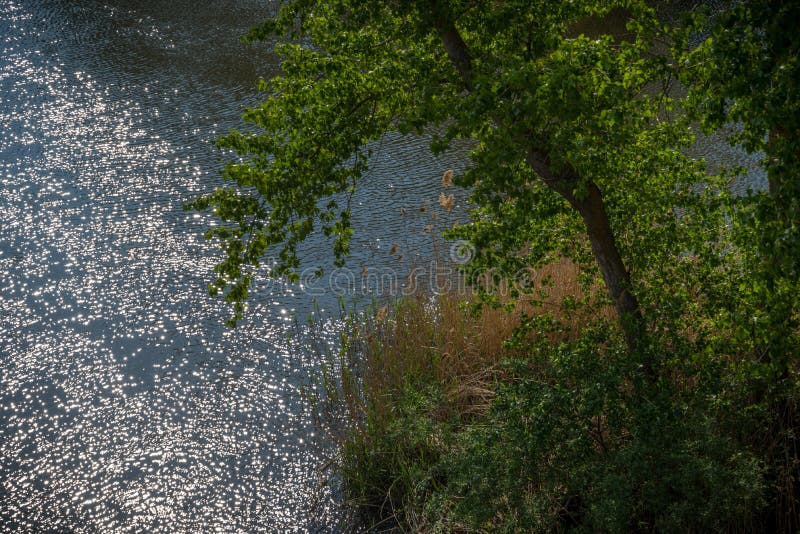 Rivera of the River in Spring Stock Image - Image of grass, foliage ...