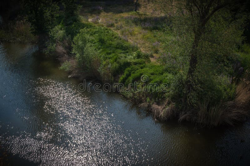 Rivera of the River in Spring Stock Image - Image of river, light ...