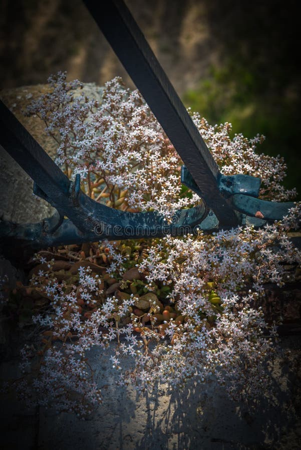 Rivera of the River in Spring Stock Image - Image of rail, grass: 116906345