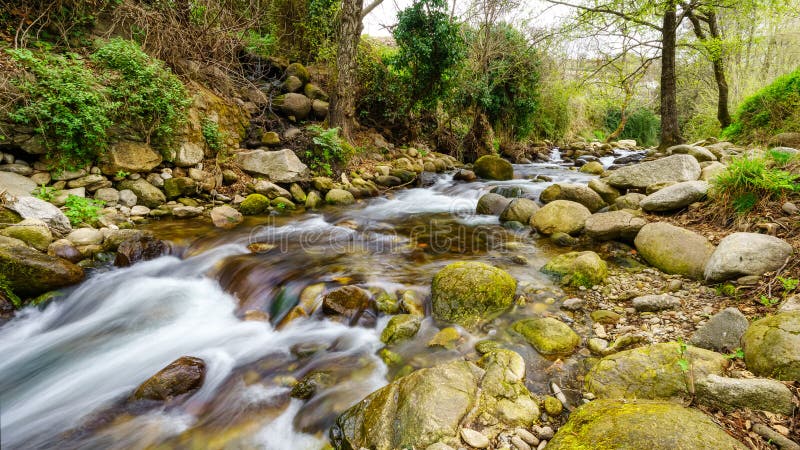 Panoramic, Stream of Water Coming Down from the Mountain in the Pretty ...