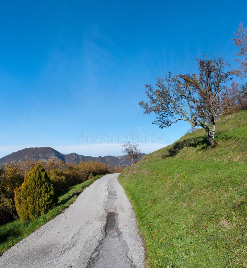 Panoramic street stock photo. Image of italy, vegetation - 27714294