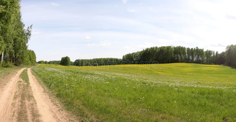 Panoramic green field stock image. Image of green, large - 4461195