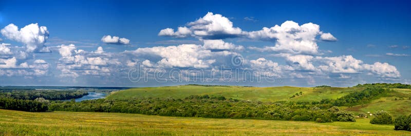 Panoramic summer landscape stock photo. Image of cornfield - 9110114