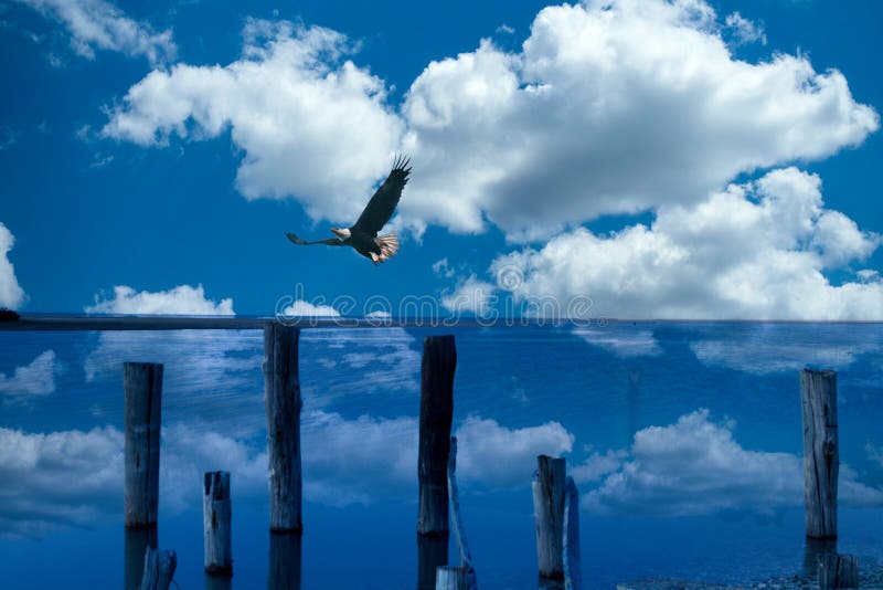 Panoramic Sunrise in Eastern Shore Stock Image - Image of blue ...