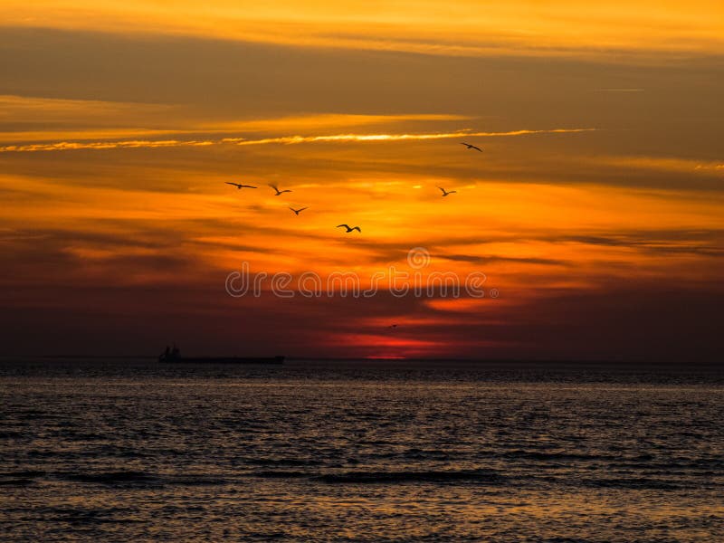 Panoramic Sunrise in Eastern Shore Stock Image - Image of sunrise ...