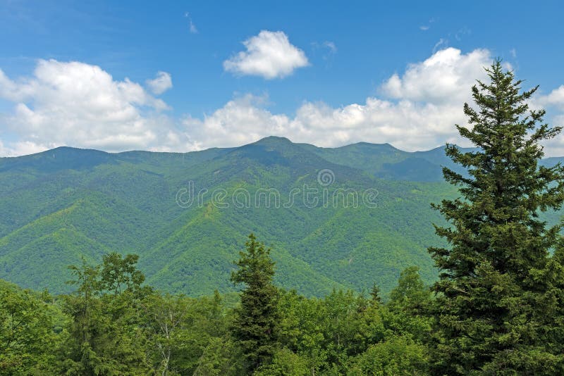 Panoramic and Verdant View of Mount Mitchell Stock Image - Image of ...