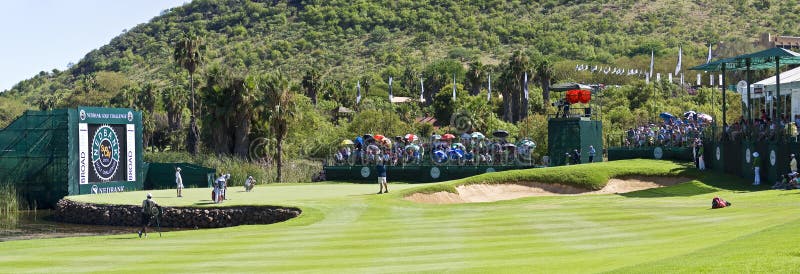 The 17th Green at Sawgrass TPC Stock Photo - Image of green, club: 1892702