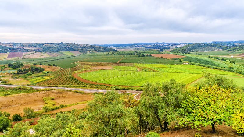 Panoramic View of the Agricultural Fields in Portugal Stock Photo ...