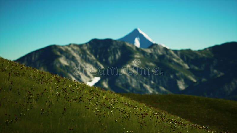 Panoramic View of Alpine Mountain Landscape in the Alps Stock ...