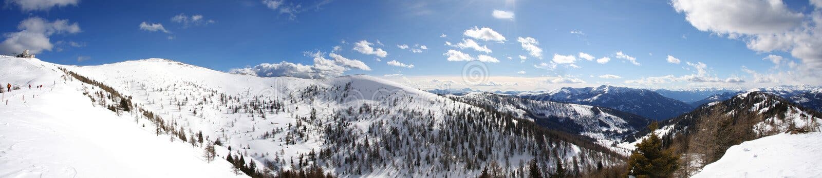 Red pine panorama stock photo. Image of light, cold, fall - 13917988