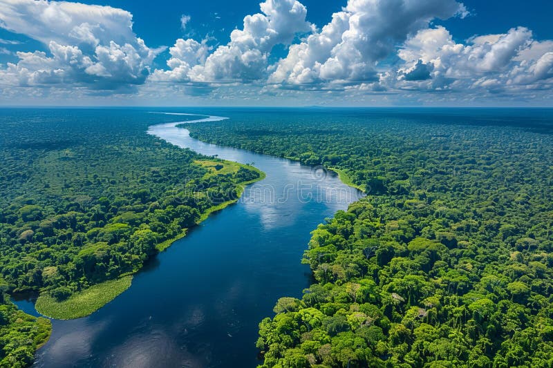Panoramic View of the Amazon Rainforest and River, with White Clouds in ...