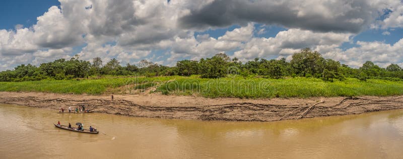 Panoramic View for the Amazon Stock Photo - Image of bank, jungle ...