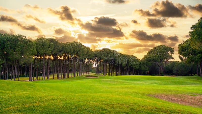 Panoramic View of Beautiful Golf Course with Pines with Dramatic Sky ...