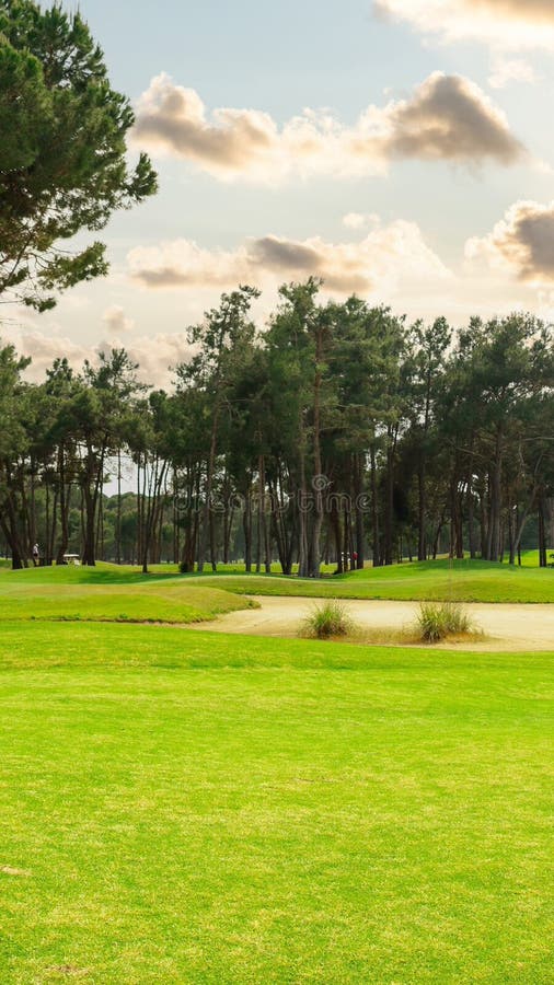 Panoramic View of Beautiful Golf Course with Pines with Dramatic Sky ...