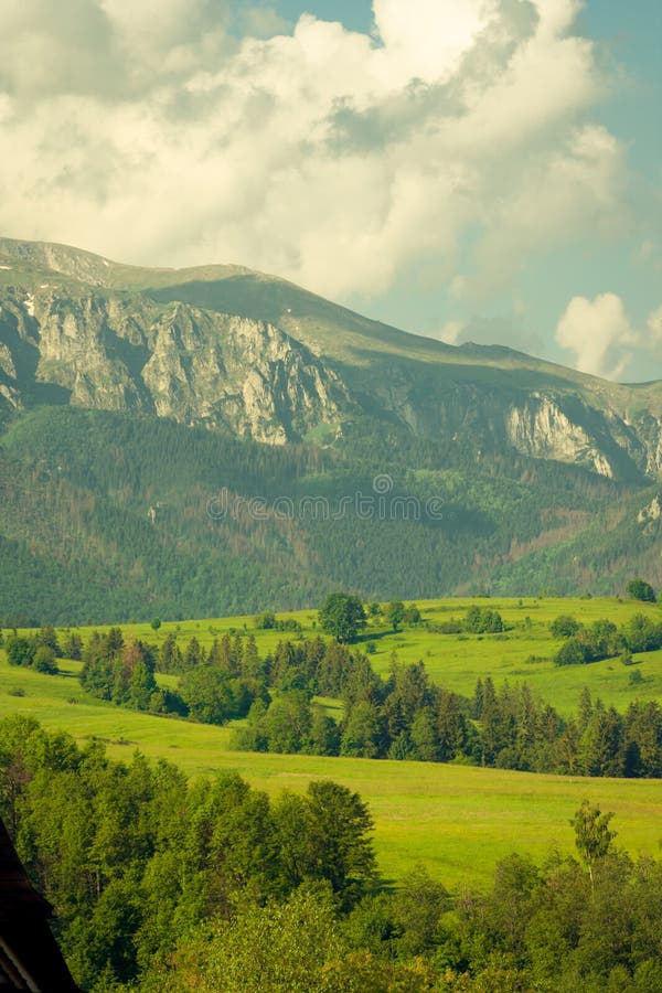View of Beautiful Landscape in the Tatra Mountain with Fresh Green ...