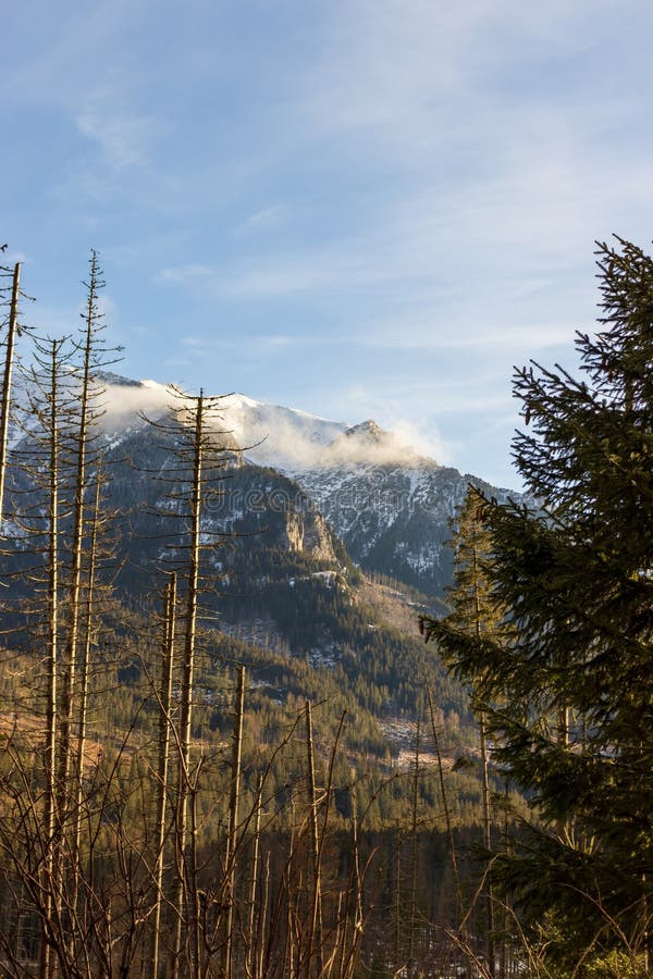 Panoramic View of a Beautiful Mountain Range with Lush Trees. Stock ...