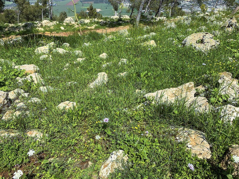 Panoramic View on Beit Shean Valley from Mount Gilboa Israel Stock ...