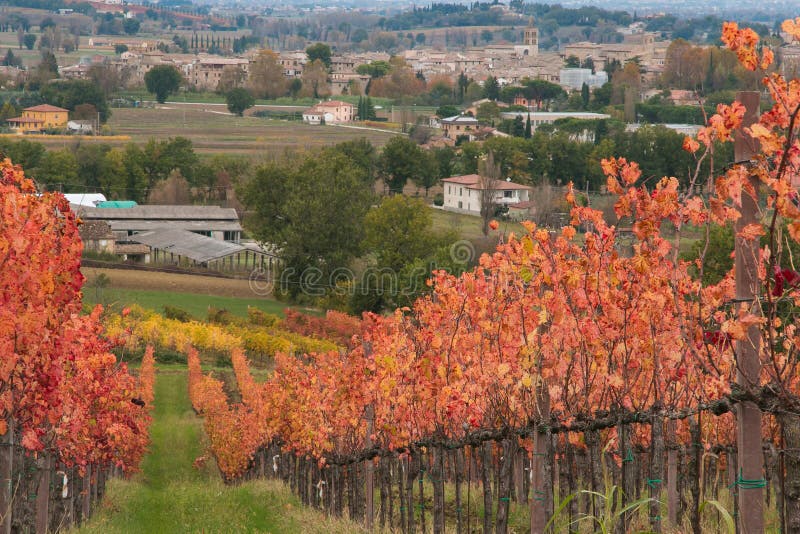 Panoramic view of Bevagna stock image. Image of ambient - 80273149