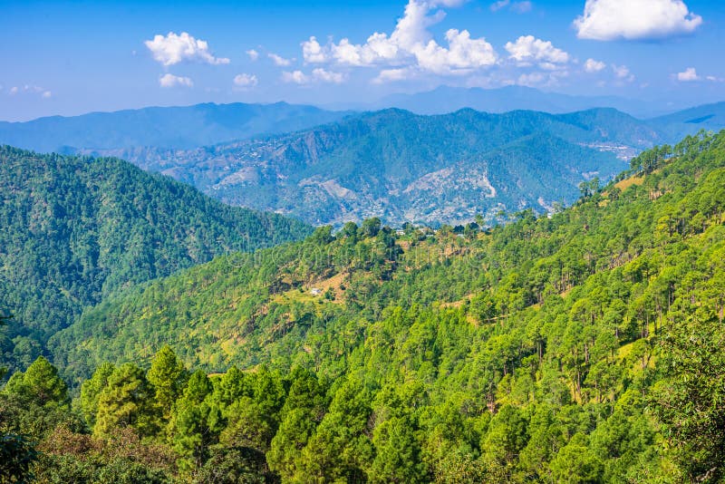 Binsar Uttarakhand India stock image. Image of kumaon - 208983397