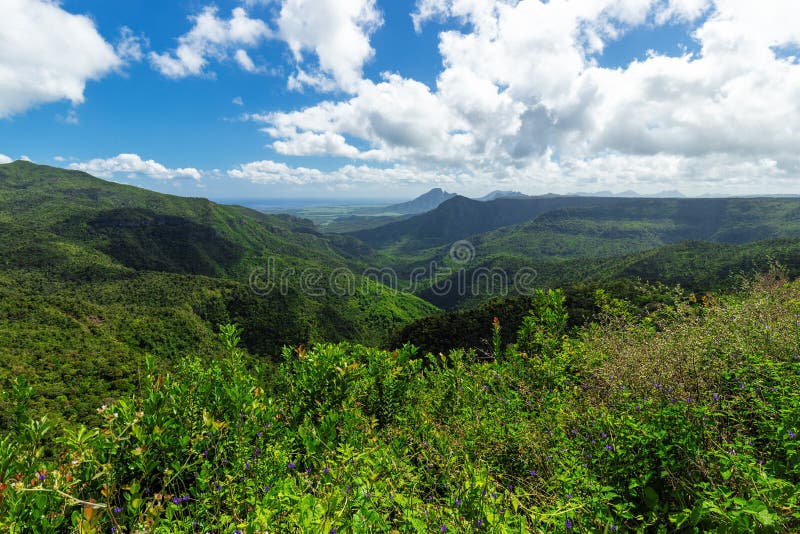 Panoramic View of Black River Gorges National Park, Gorges Viewpoint in ...