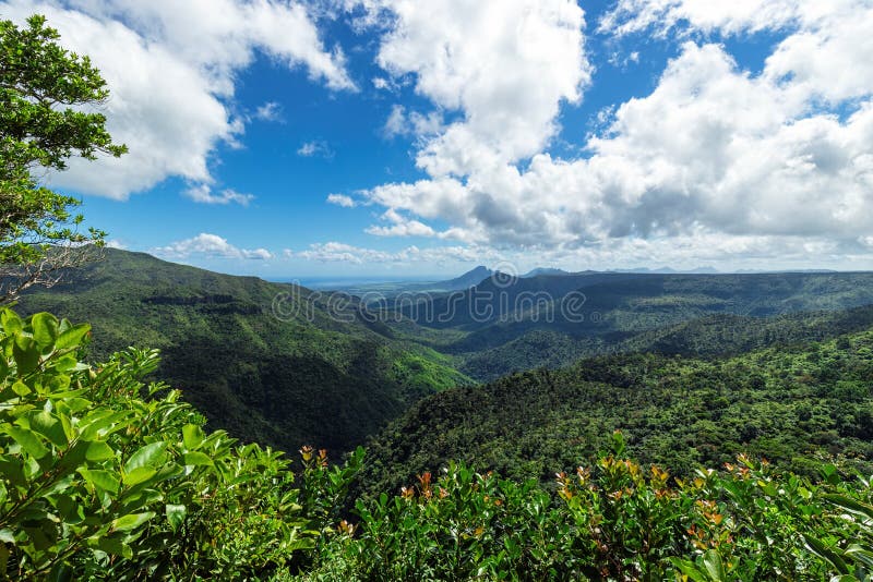 Panoramic View of Black River Gorges National Park, Gorges Viewpoint in ...