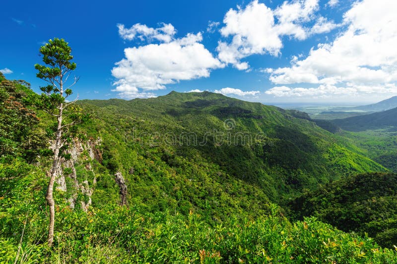 Panoramic View of Black River Gorges National Park, Gorges Viewpoint in ...