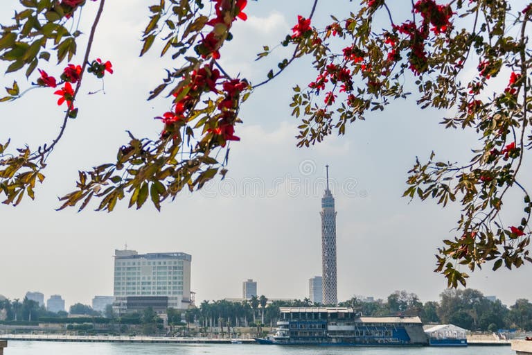 Panoramic View of Cairo from the River Nile in Egypt. Cairo Tower on ...