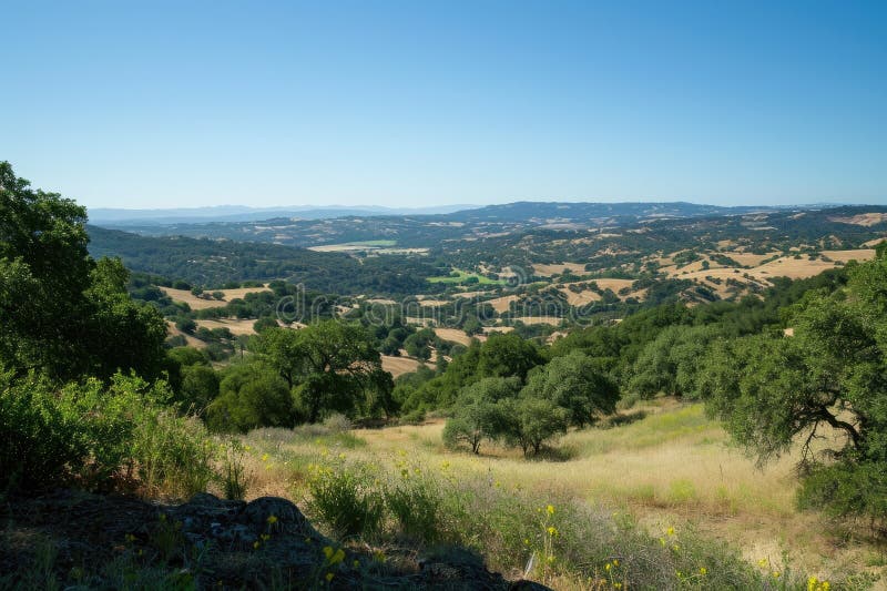 A Panoramic View Capturing a Wide Expanse of Scenery, an Expansive ...