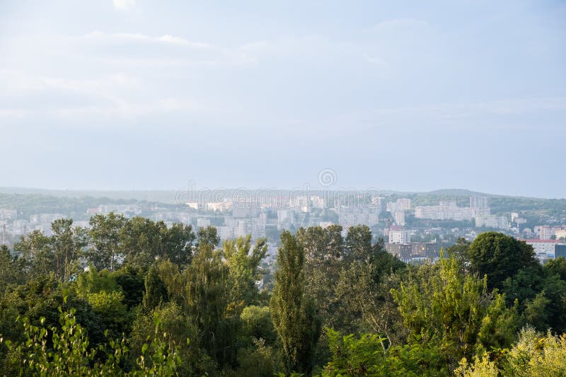 Panoramic View of City Forest Trees on Background Stock Image - Image ...