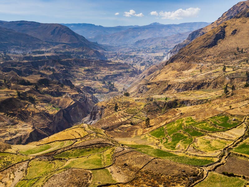 Panoramic View of Colca Canyon and Its Stepped Terraced Fields, Peru ...