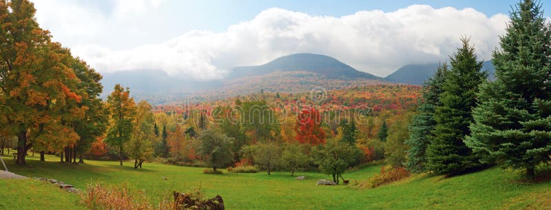 Panoramic View of Colorfulll Forest Stock Image - Image of golden, hill ...