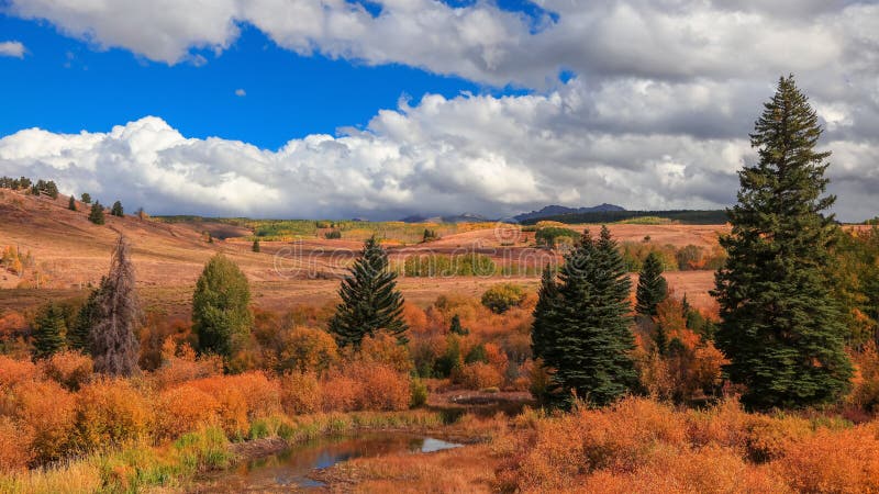 Trees Fall Autumn Color Leaves Picture. Image: 101607398
