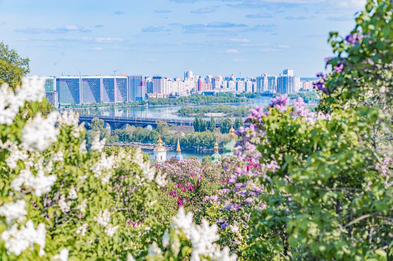 A Panoramic View of a Dense Urban Environment, Featuring Various ...