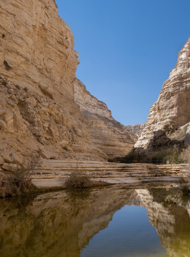 418 Ein Avdat Canyon Negev Desert Stock Photos - Free & Royalty-Free ...