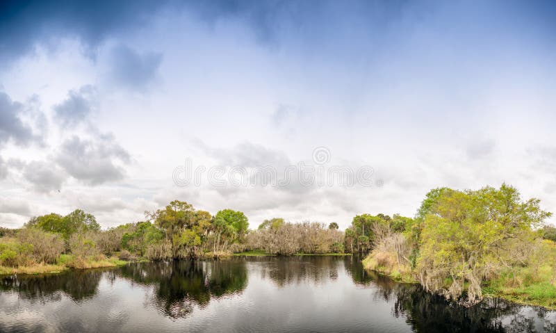 Panoramic View of Everglades Swamps, Florida Stock Image - Image of ...
