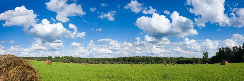 Panoramic View of Field with Haystacks Stock Photo - Image of green ...