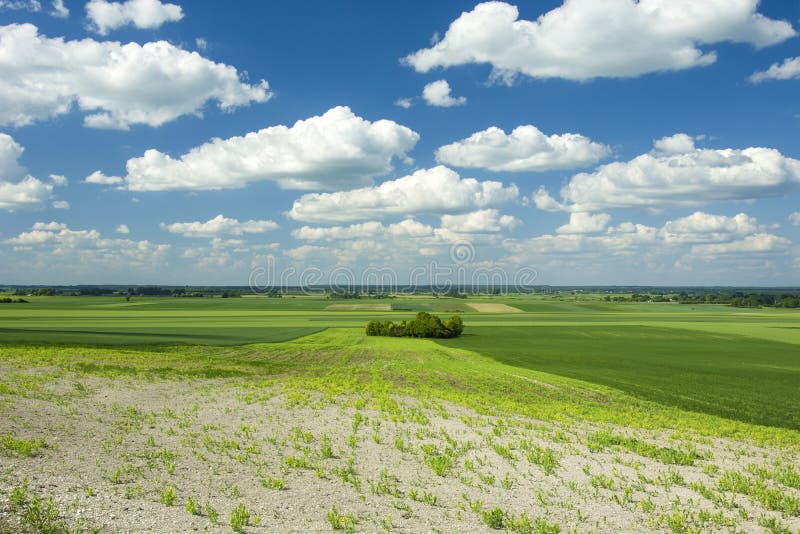 Panoramic View of Fields, Copse and Blue Sky Stock Image - Image of ...