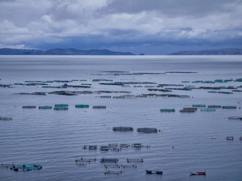Panoramic View of Fish Breeding Cages in the Sea Stock Image - Image of ...
