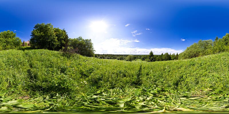 Panoramic View Forest Stock Photos - Download 128,586 Royalty Free Photos