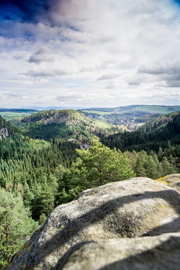 A Panoramic View of a Forest from an Elevated Perspective Stock Photo ...