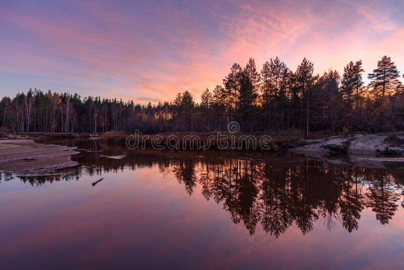 Panoramic View of the Forest Landscape. Lake in the Forest. Beautiful ...