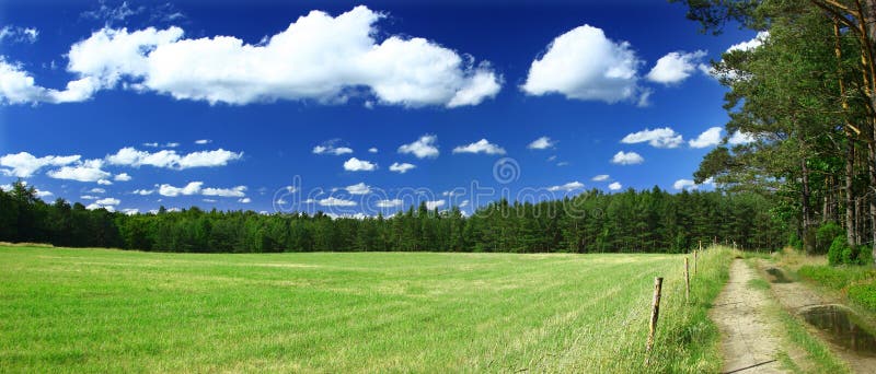 Panoramic View on Grass Field, Forest and a Path Stock Photo - Image of ...