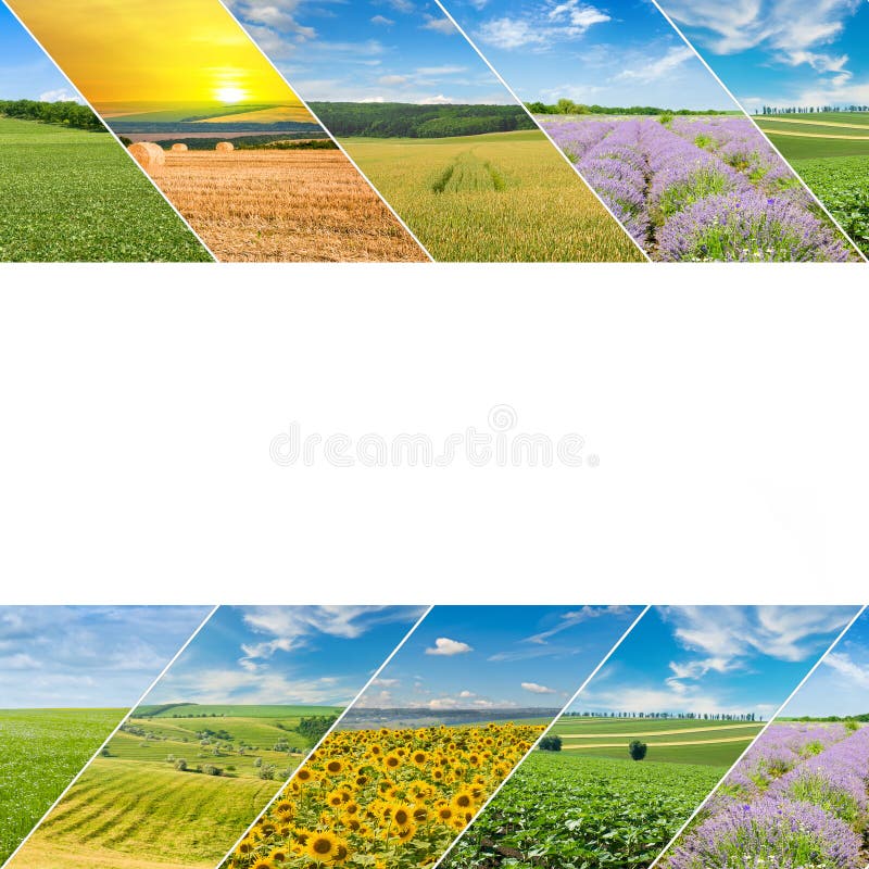 Panoramic View of Tropical Beaches and Sky. Collage.Wide Photo Stock ...