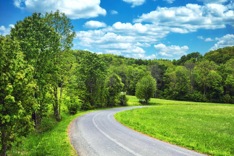 Panoramic View of Green Fields and Trees and Small Road Stock Image ...