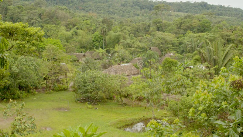 Panoramic View of an Indigenous Community in the Amazon Rainforest ...