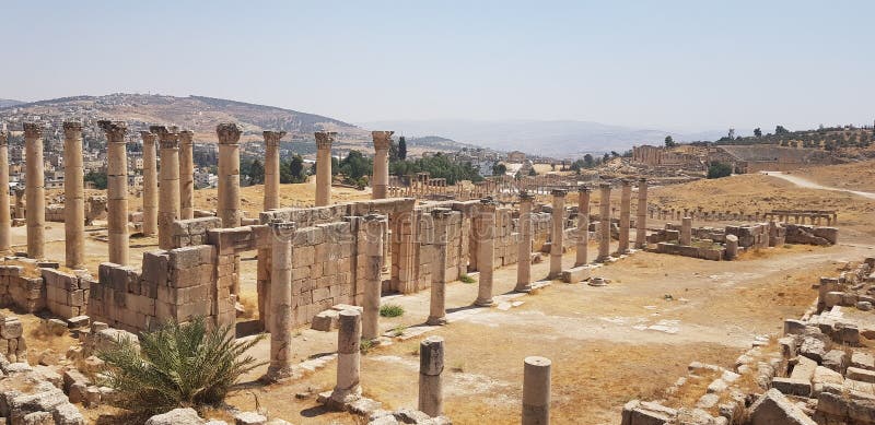 Panoramic View of Jerash with Columns, Walls, and Yellow Desert Grass ...