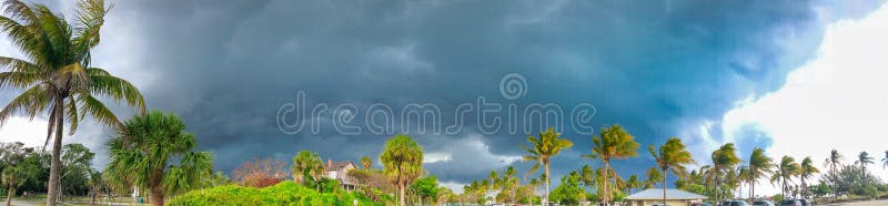 Panoramic View of Jupiter Park and Palms Along the Beach, Florid ...