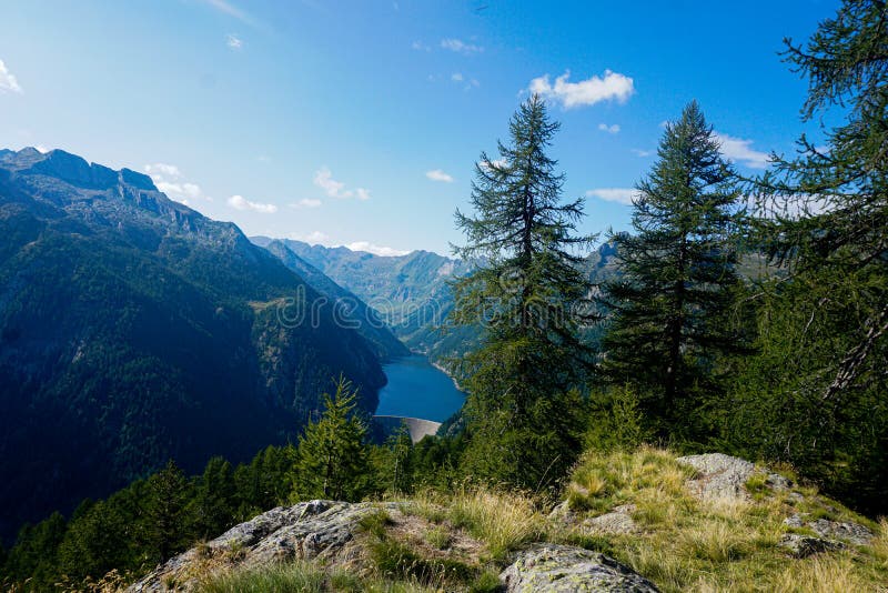 Panoramic View on Lago Del Sambuco with Larch Trees Stock Photo - Image ...